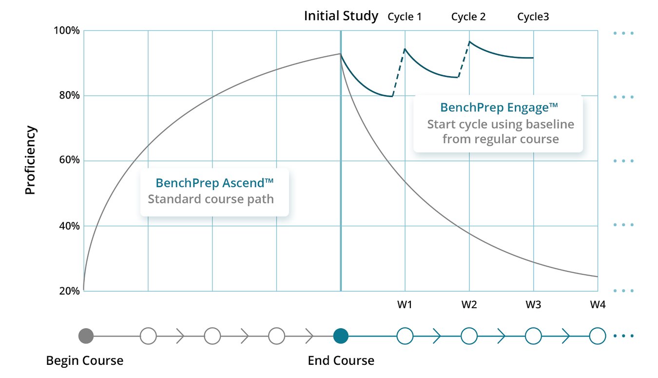 4 Tips for Fostering Learning Culture + Secrets to Continuous Learning